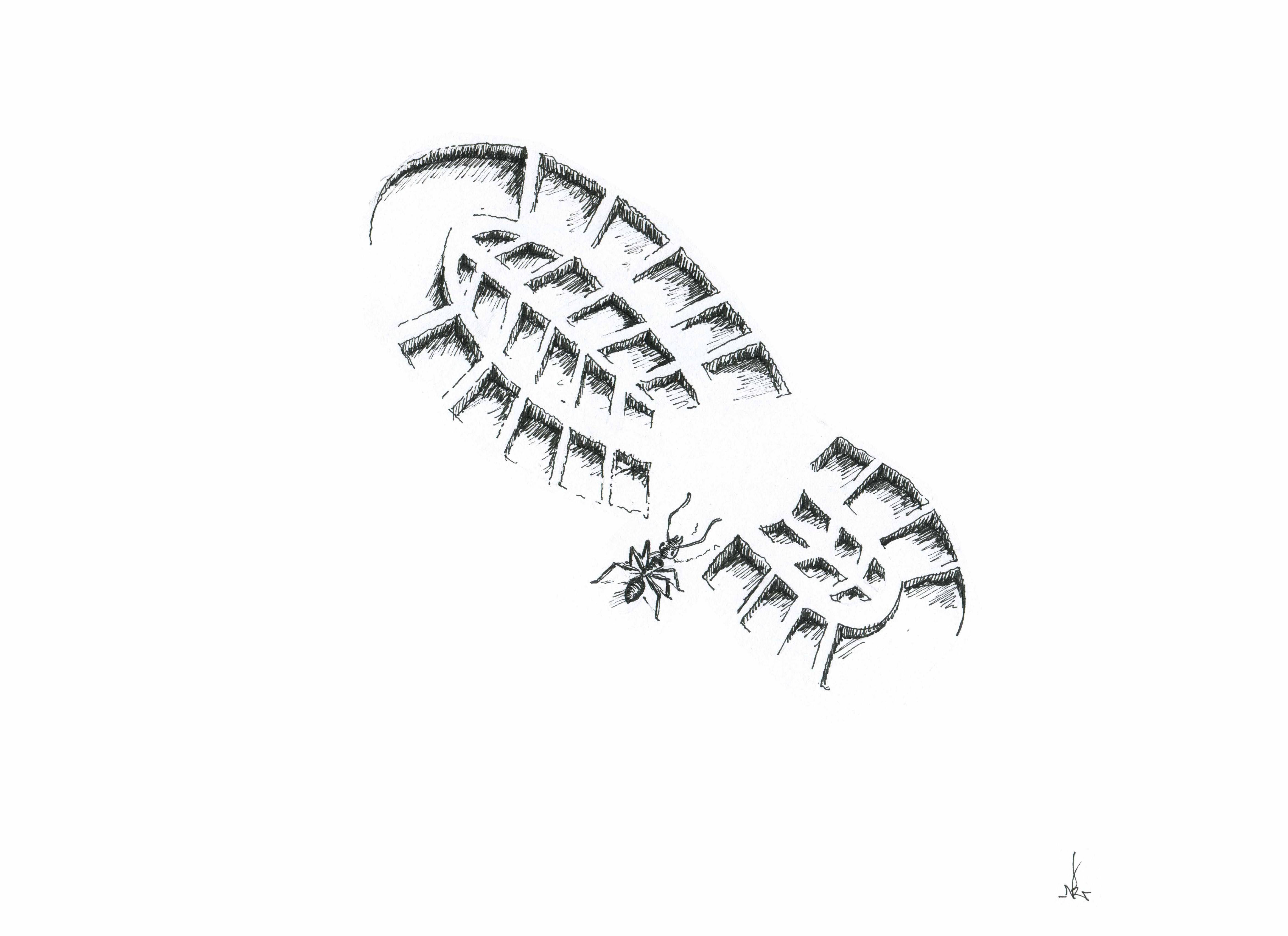 Freedom – Robert Navarro